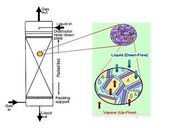 Forced Draft Degasification