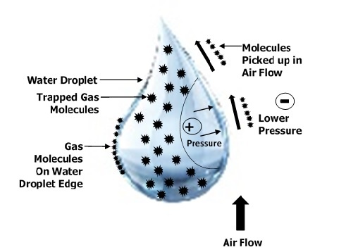Forced Draft Degasification